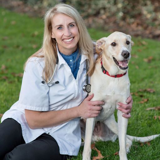 Paradise Animal Clinic of Daytona